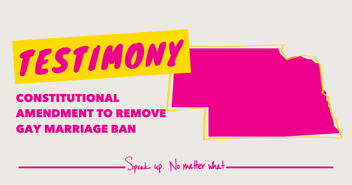 Removing Gay Marriage Ban from State Constitution | Planned Parenthood ...