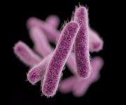 STD Awareness: New STDs on the Block, and STDs Making a Comeback ...